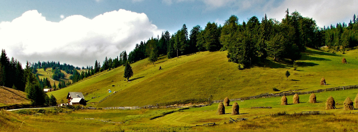 Circuit Romania Frumoasa - Escapada in Salbaticie si Incursiune in Tara ...