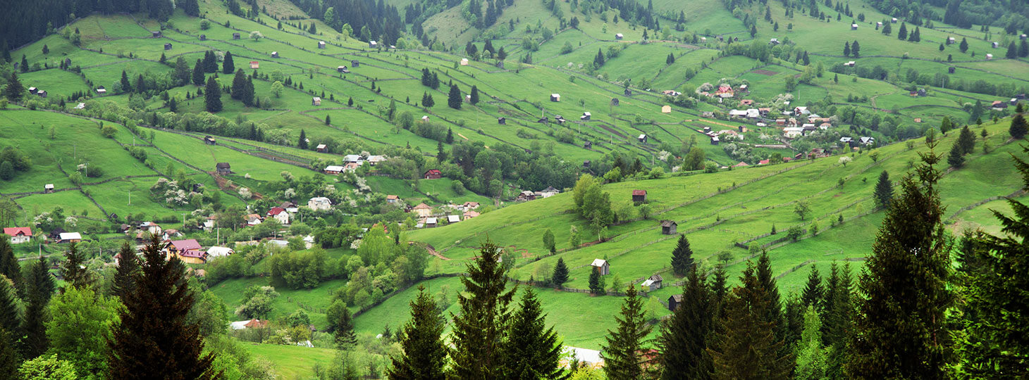 Excursie de o zi la Conace si Degustari 2020, Circuite Romania